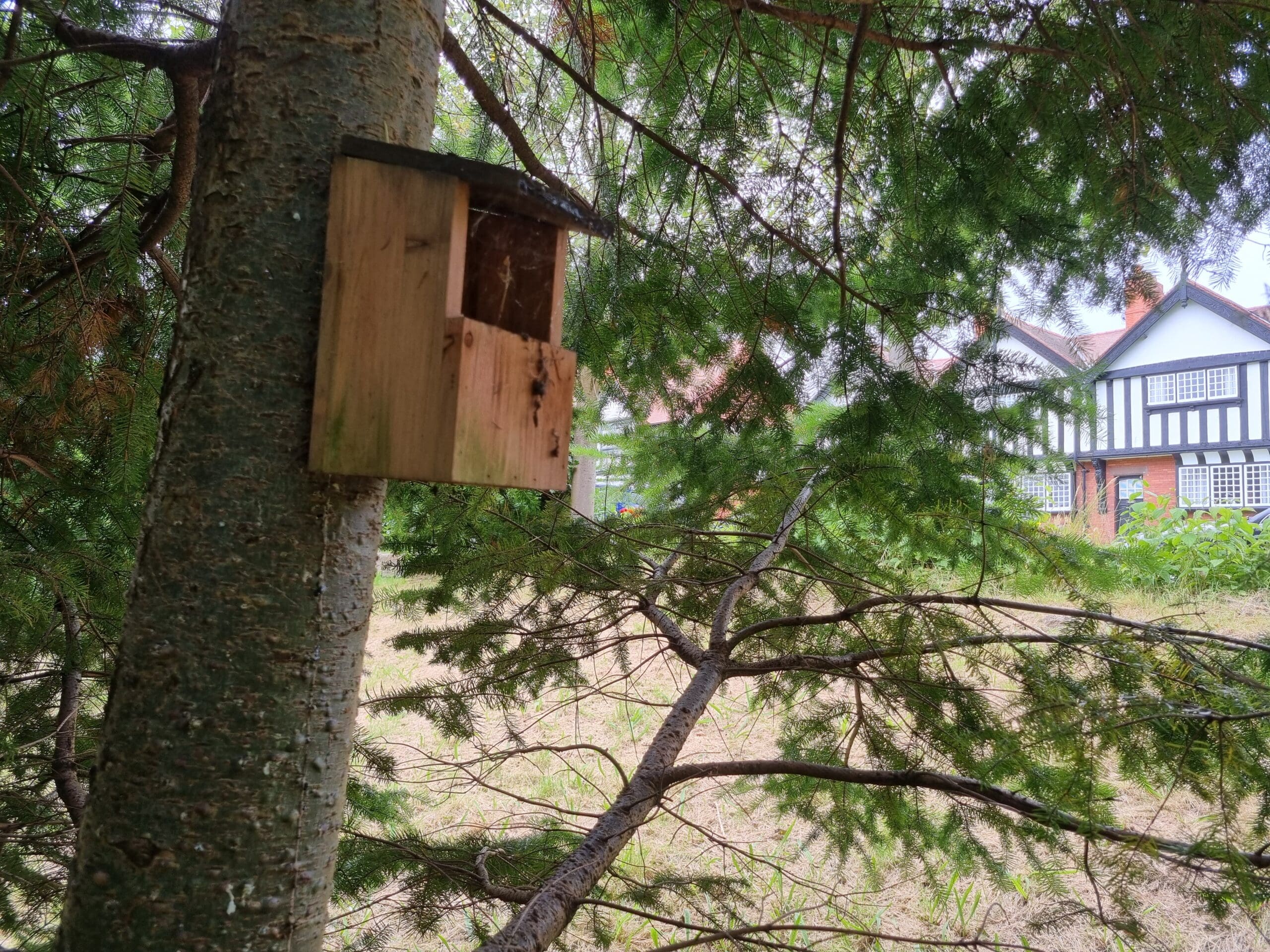 Home | Port Sunlight Village