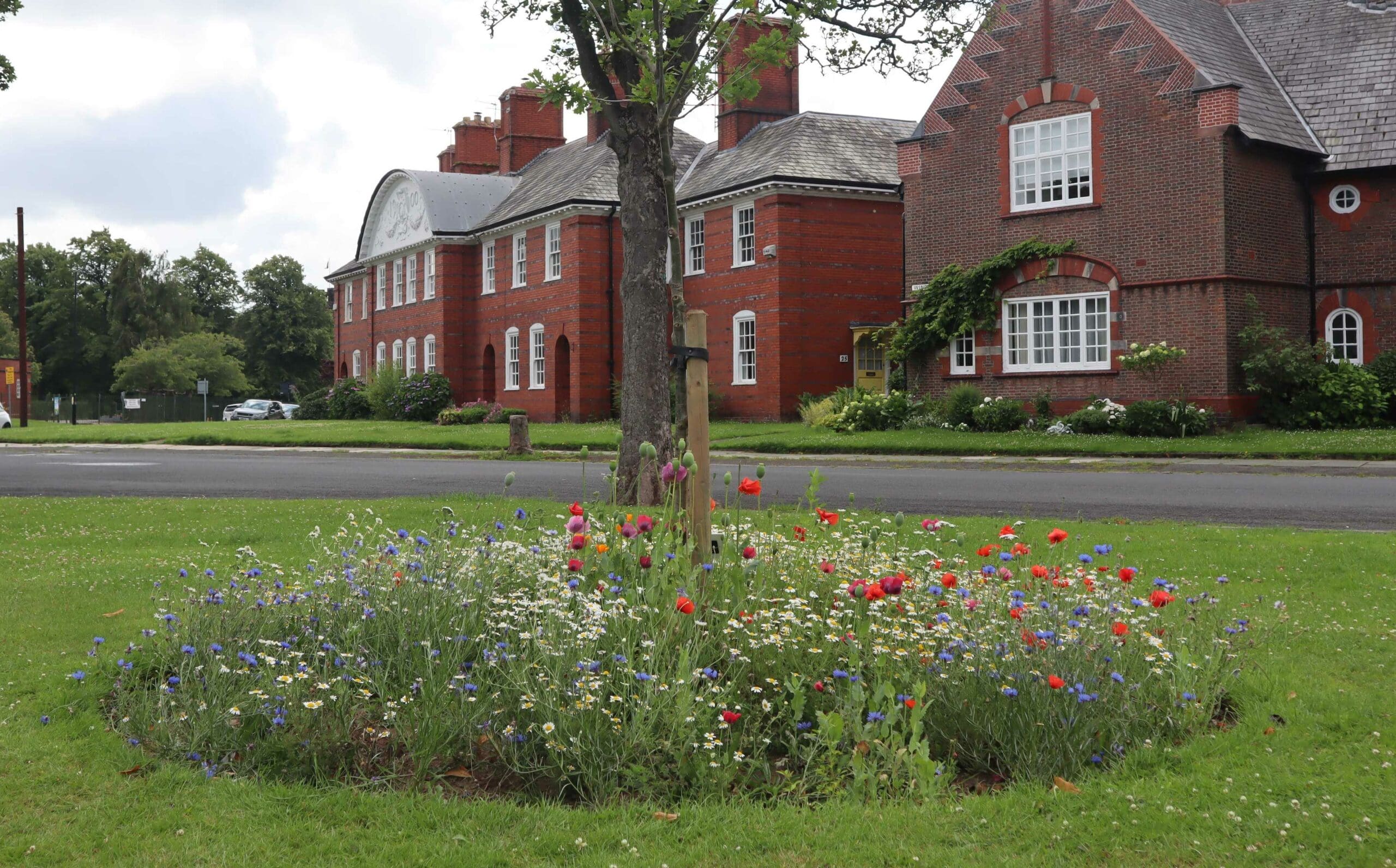 Improving biodiversity in Port Sunlight | Port Sunlight Village